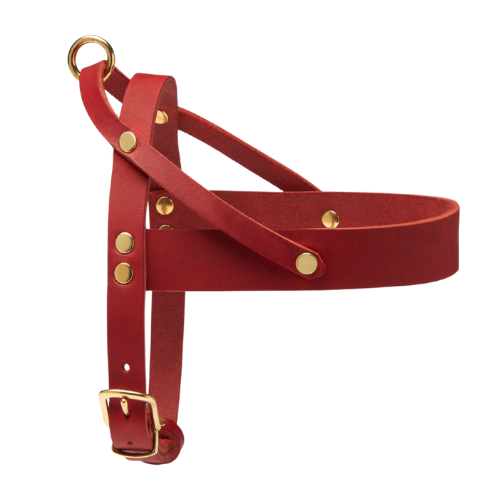 HARNESSES