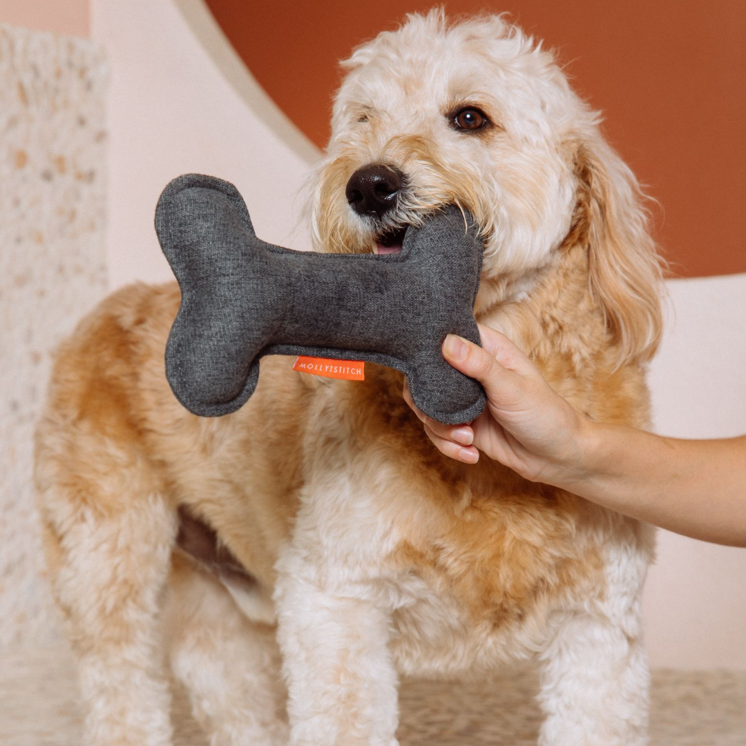 Alpine Bone - Charcoal – Molly And Stitch US