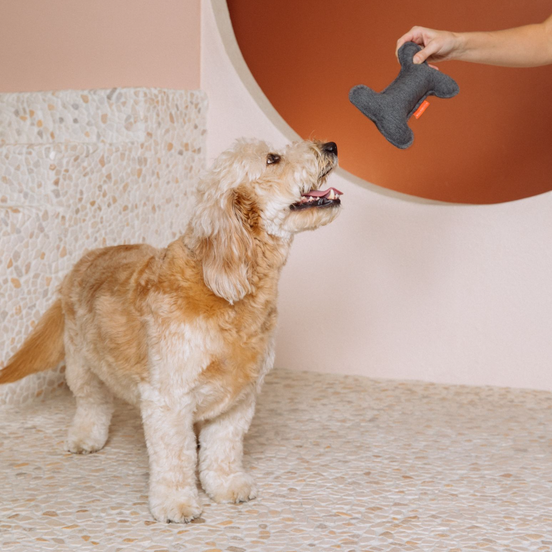 Alpine Bone - Charcoal – Molly And Stitch US