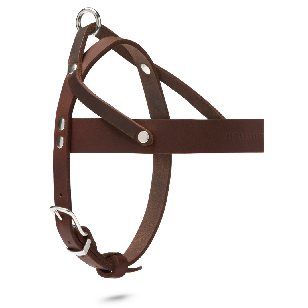 Butter Leather Dog Harness - Classic Brown – Molly And Stitch US