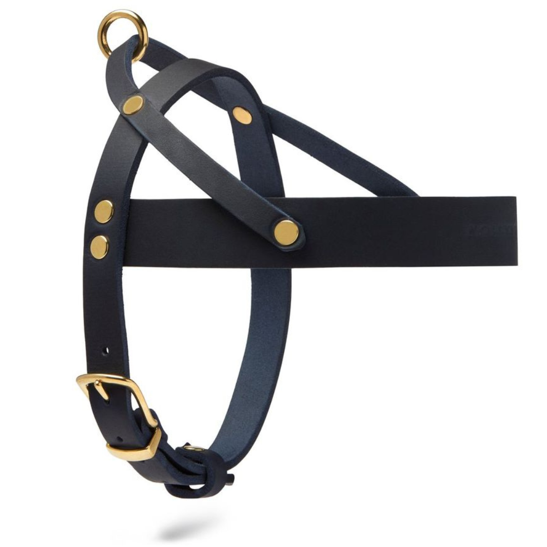 Butter Leather Dog Harness - Navy Blue – Molly And Stitch US