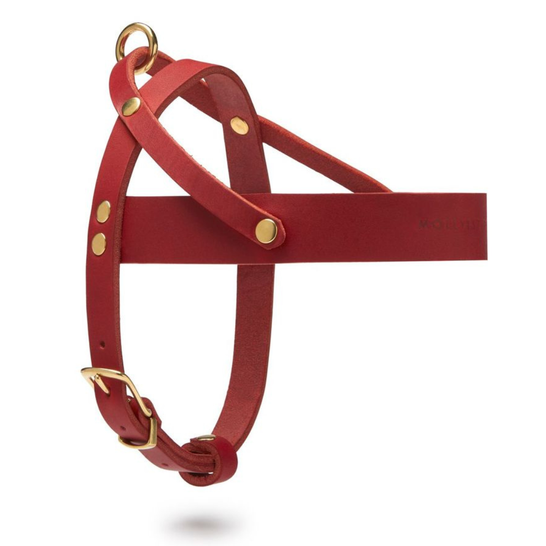 Butter Leather Dog Harness - Chili Red – Molly And Stitch US